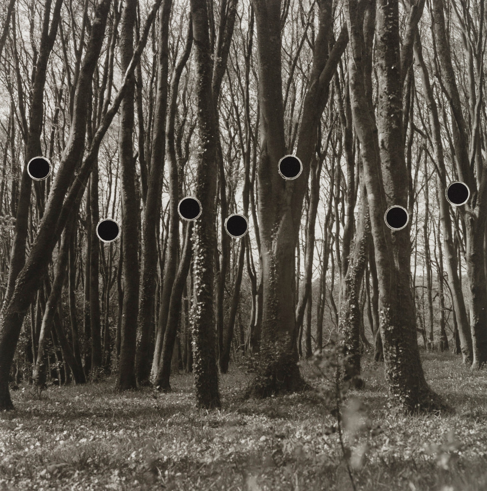 marella oppenheim - DISAPPEARANCE | LensCulture