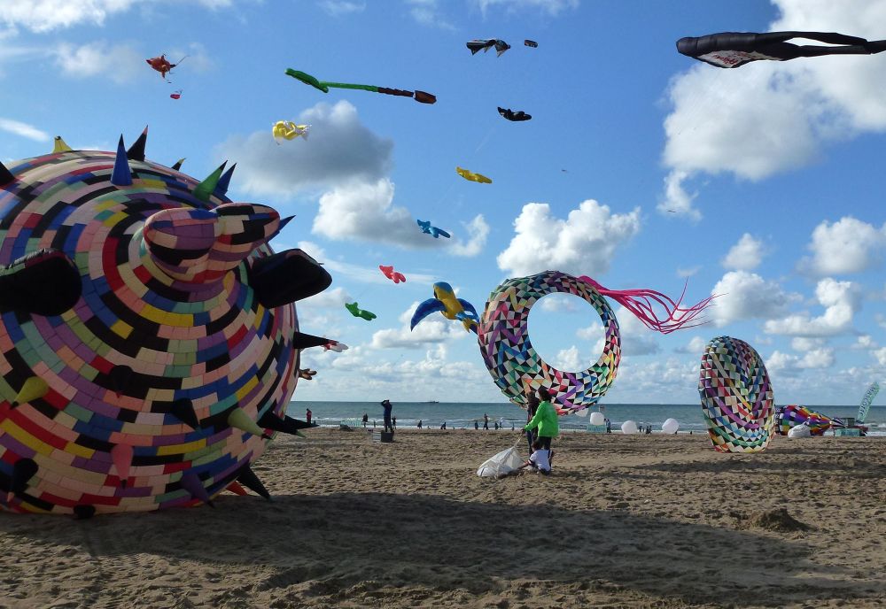 Margaret Kay Dodd - CREATURES OF THE WIND | LensCulture
