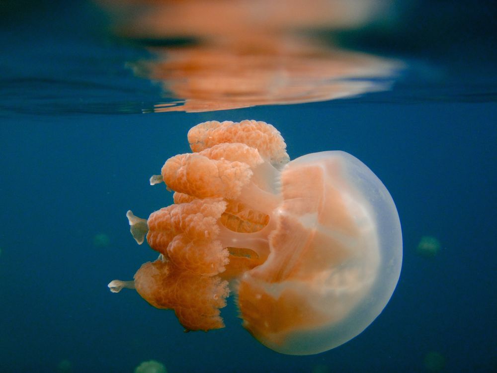 Gregory Piper - The Silence Beneath | LensCulture