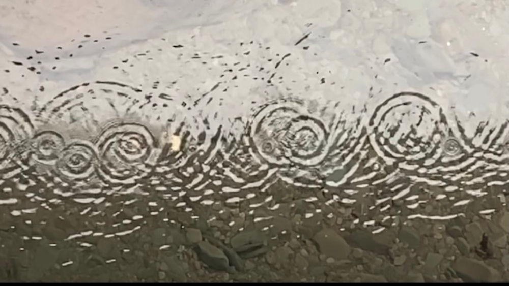 Steven Parisi - Gentile - Davis Orton Gallery (Hudson NY) 7 Annual ...