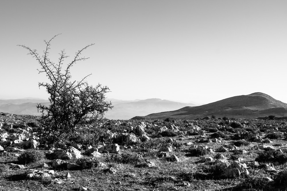 Andrés del Río - Untitled | LensCulture