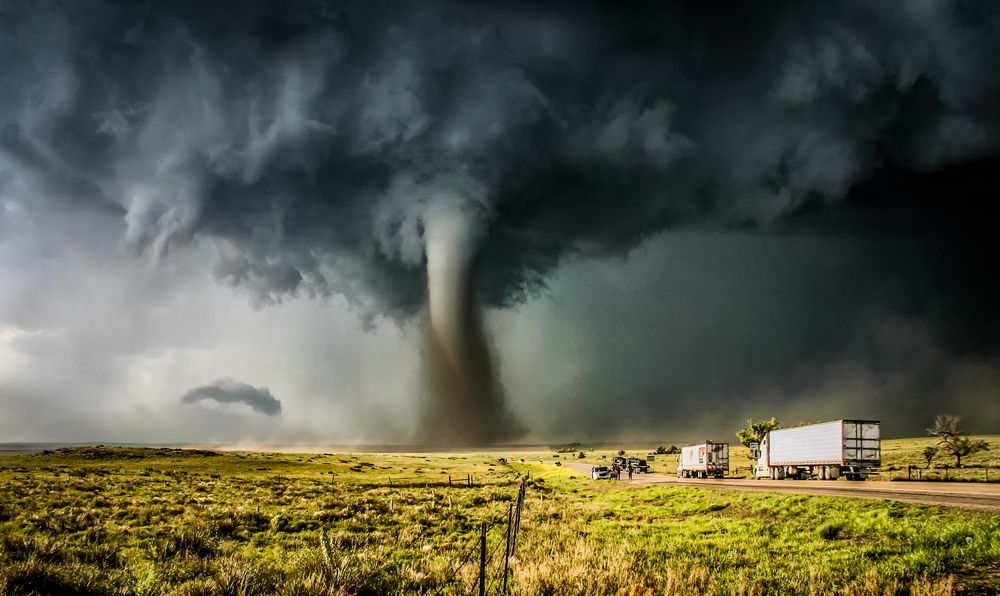 Jason Persoff - Severe Beauty | LensCulture