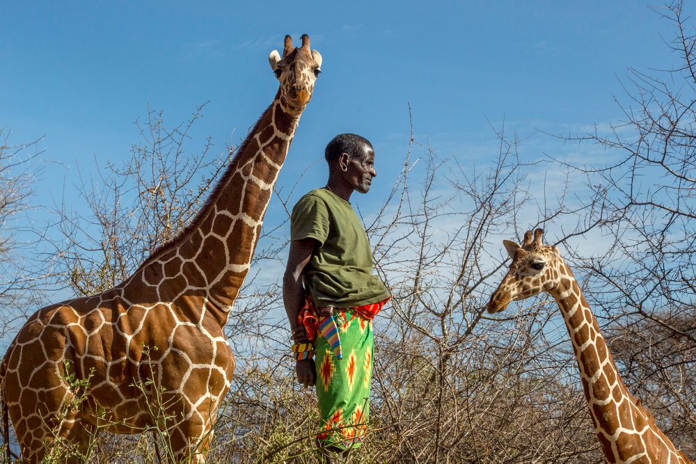 Georgina Goodwin - Portrait Award Singles 2018 | LensCulture