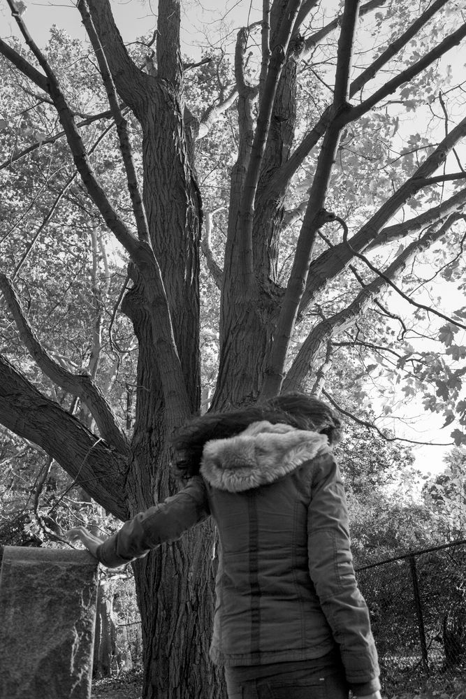 Christopher Manson - FLIGHT AND FREEDOM: Stories of Escape to Canada ...