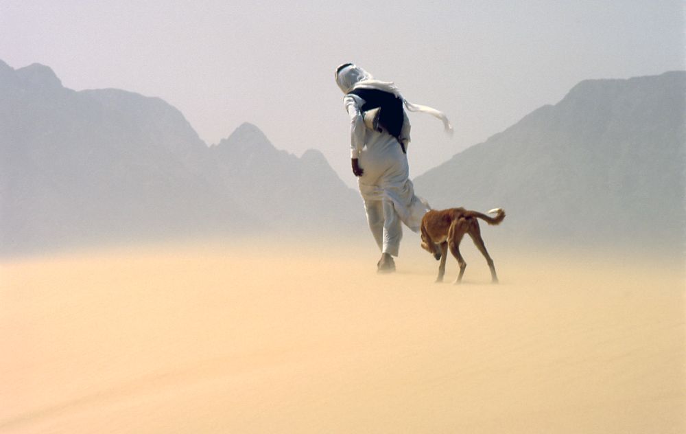 Laura Jean Zito - "In Nomads' Land" | LensCulture