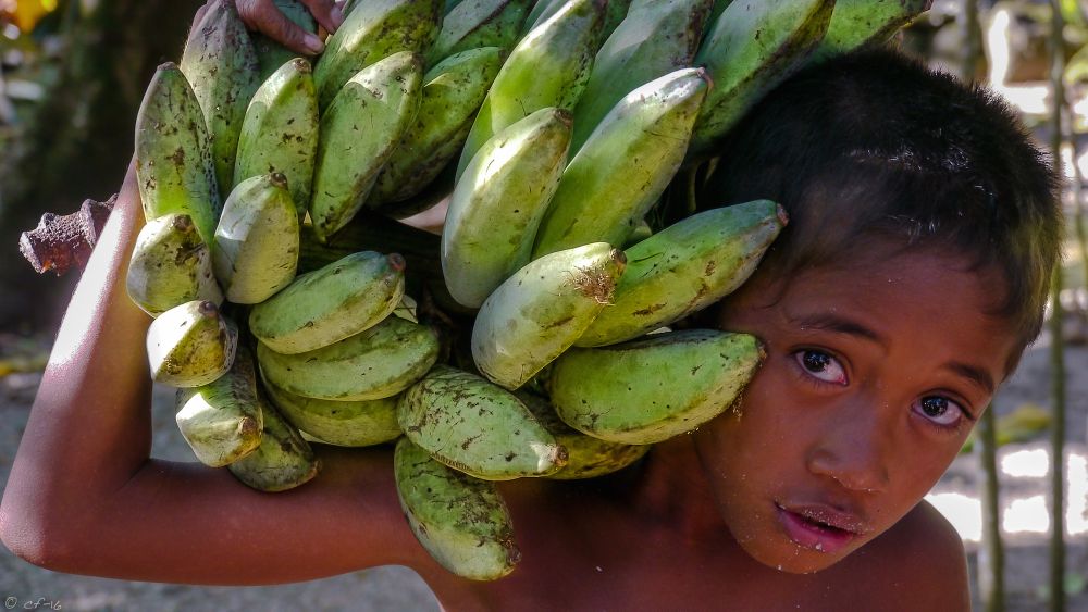 Corto Fajal - Tikopia | LensCulture