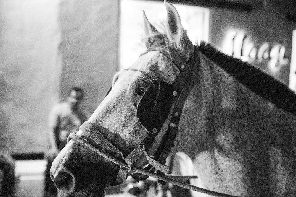 The Sad Clown - LensCulture