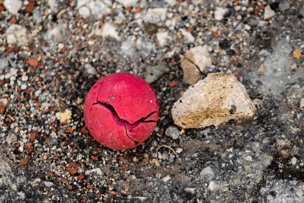 Found Objects - LensCulture