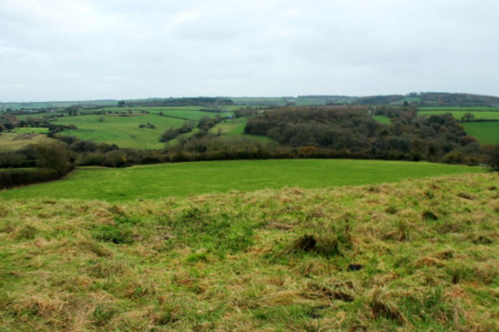 Fiona Collier - Chaos and Peace (edited series) | LensCulture