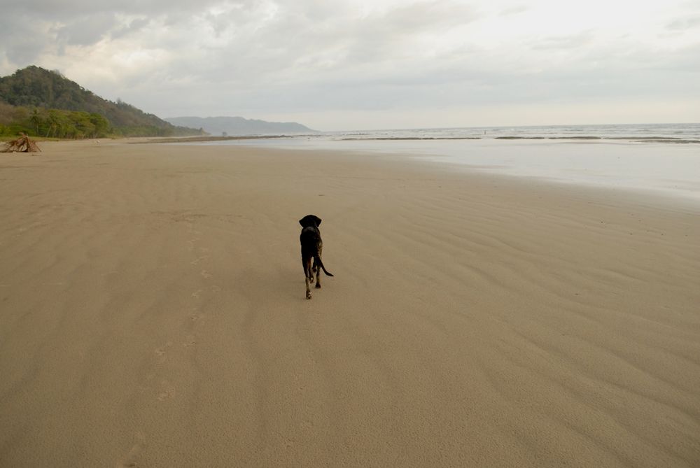 ahsan rahman - Submission | LensCulture