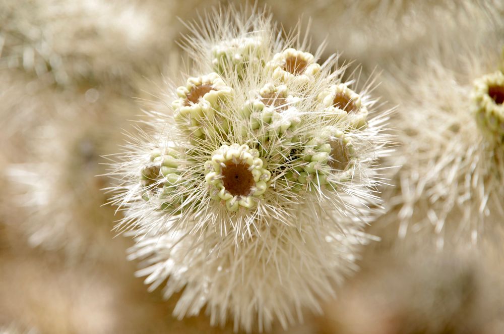 Yan Roussel - Submission | LensCulture