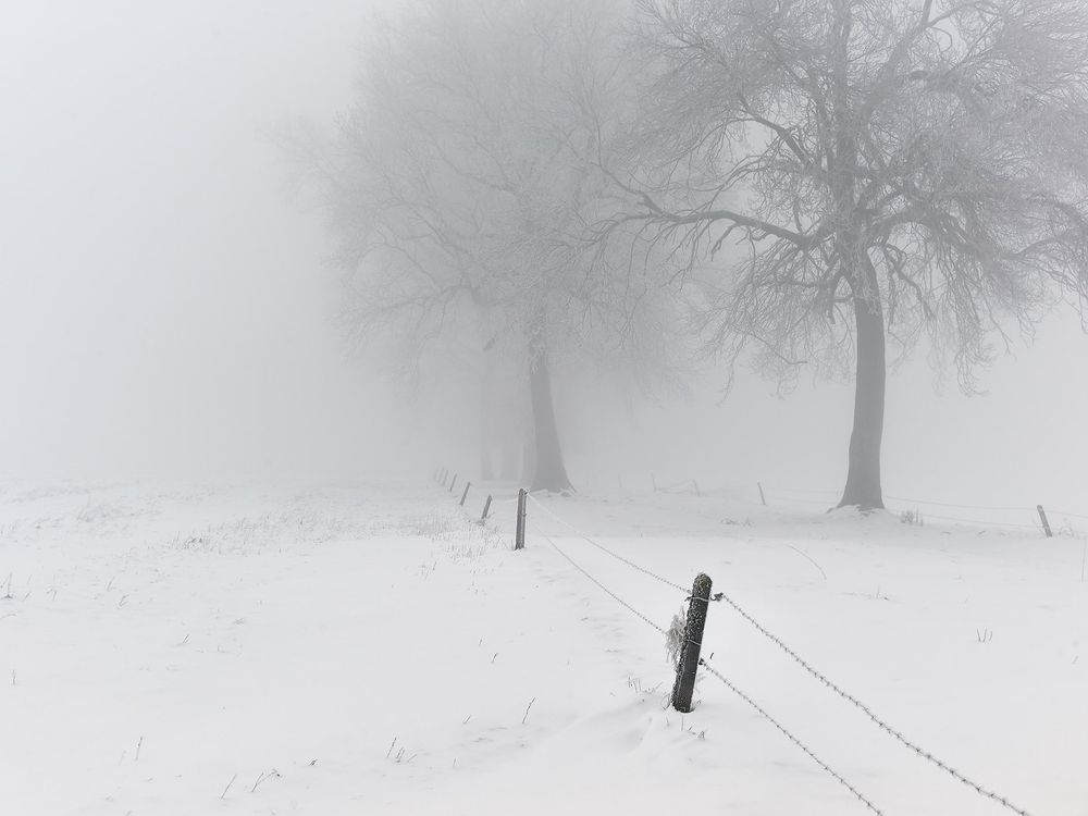 Horizon / Silences - LensCulture