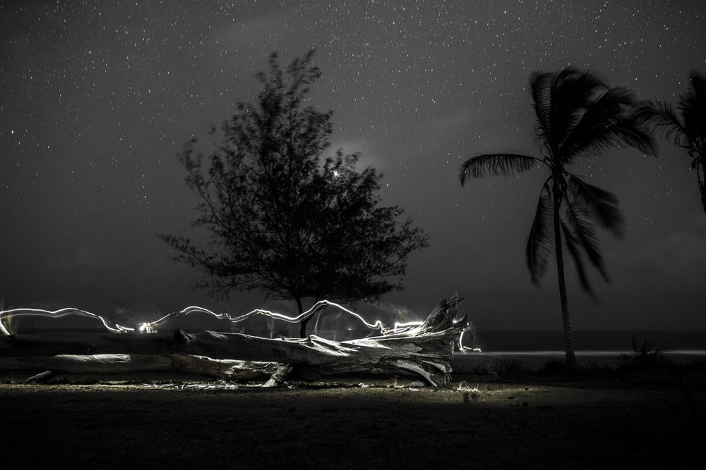 Nekane Ozamiz - Re-wilding the Broken Self | LensCulture