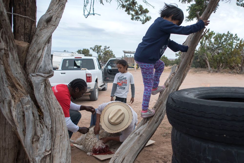 Cayla Nimmo - Untitled | LensCulture