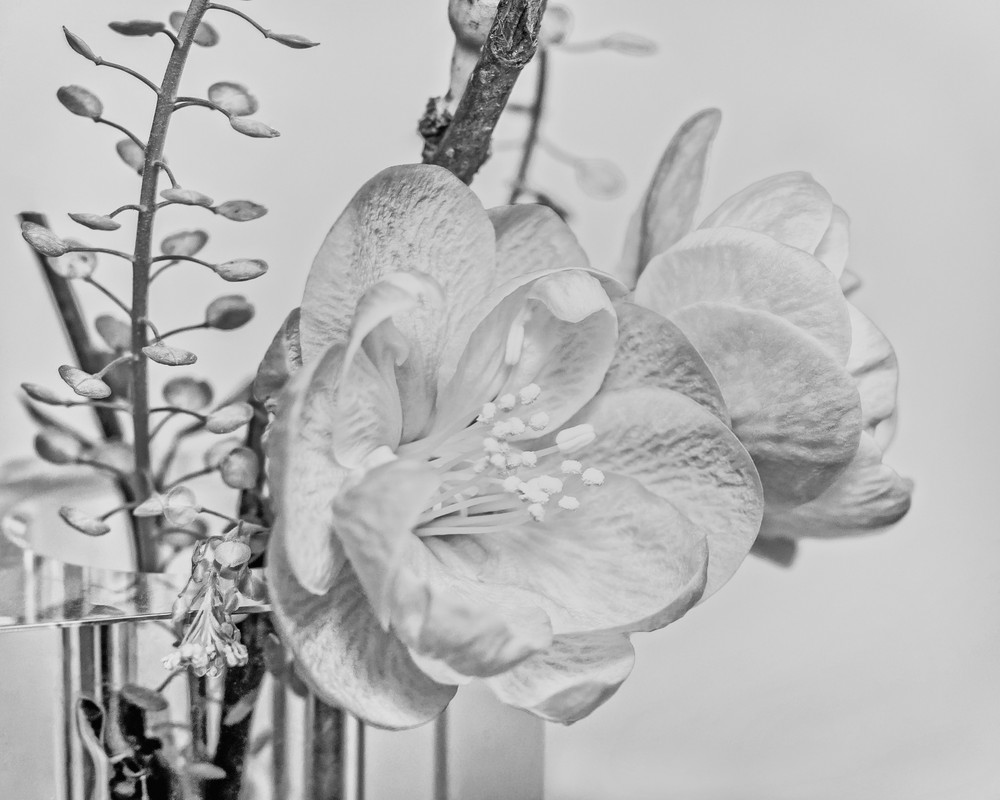 Len Romanick - Untitled | LensCulture