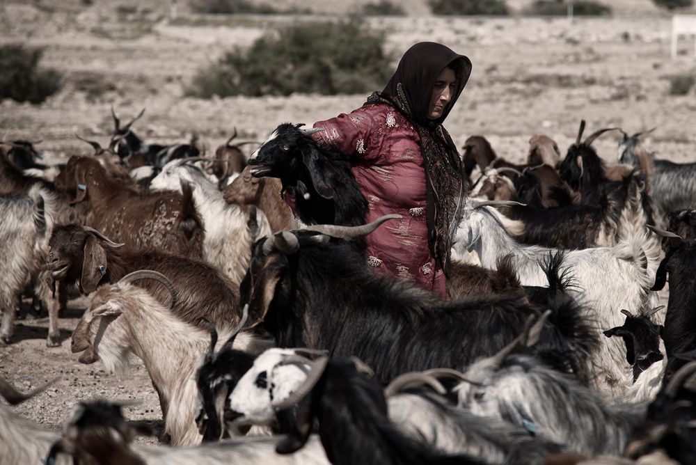 Gimmi Corvaro - Qashqai People | LensCulture