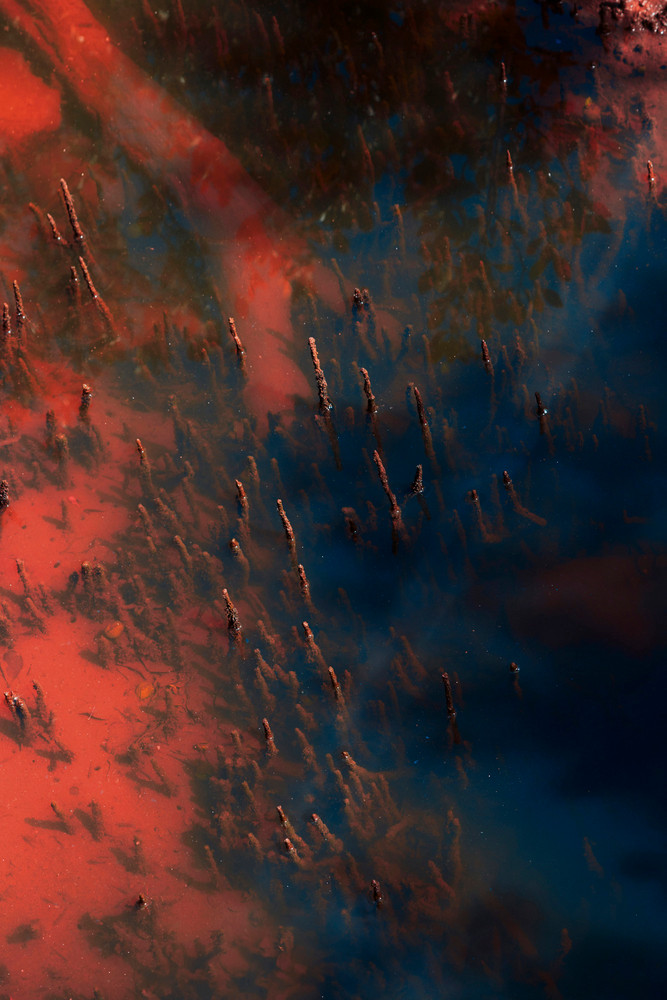 Stephanie O'Connor - Never tire of looking at the stars | LensCulture