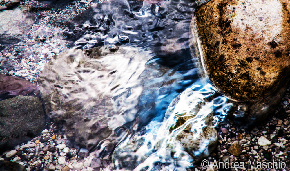 Andrea Maschio - Nature | LensCulture