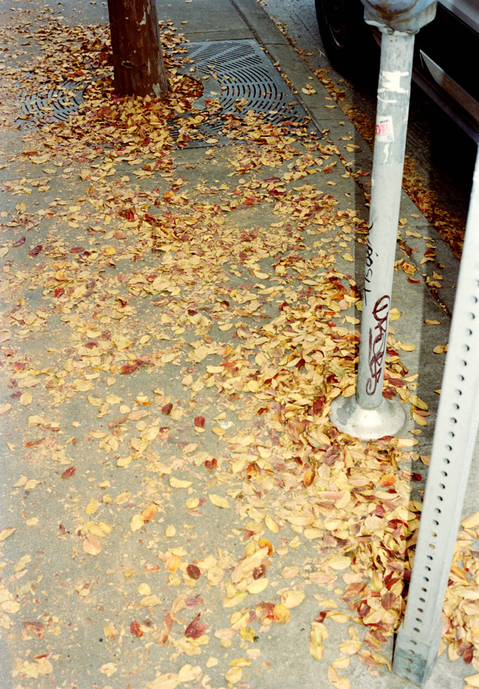 James Mach - LA | LensCulture