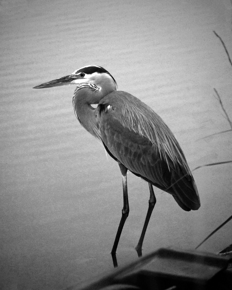 Mike Eubanks - Submission | LensCulture