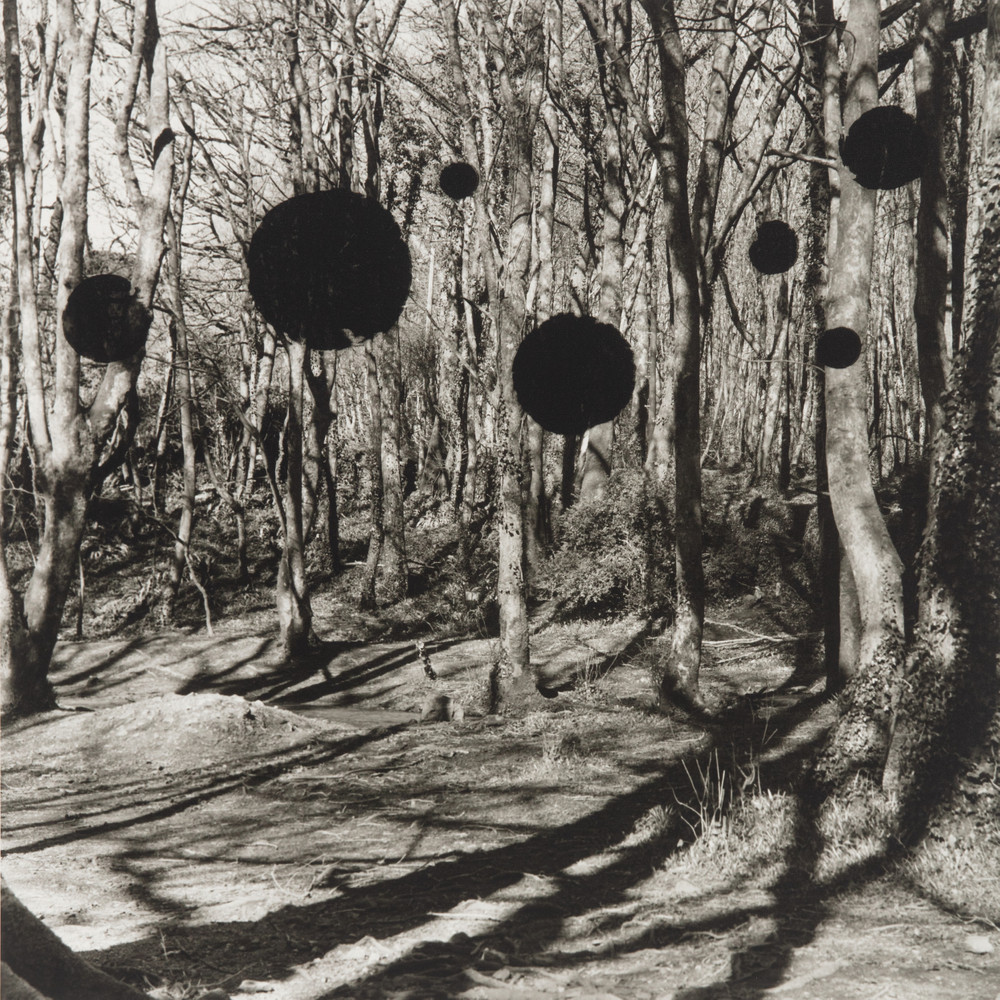 marella oppenheim - DISAPPEARANCE | LensCulture