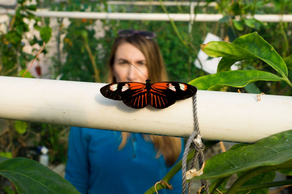 Jonathan Orenstein - Survival with Cyanide | LensCulture