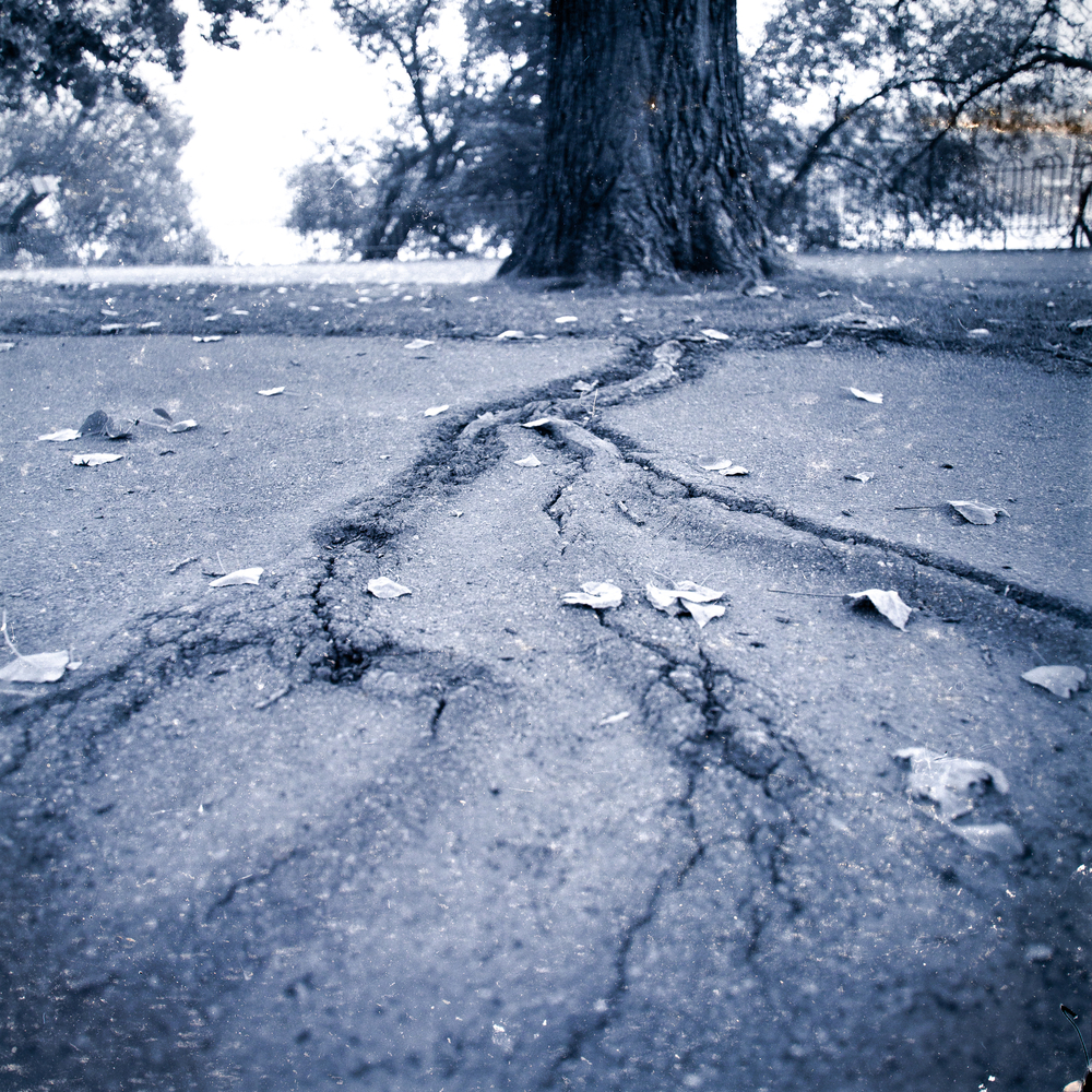 Martin Kull - When we are gone | LensCulture