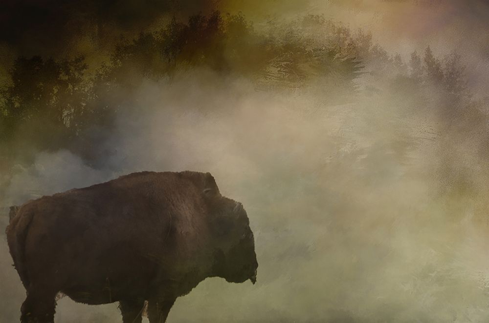 Craig Walters - Noteworthy Works | LensCulture