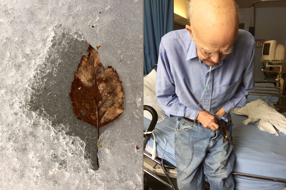 Melissa Schelling - The Long Mourning | LensCulture