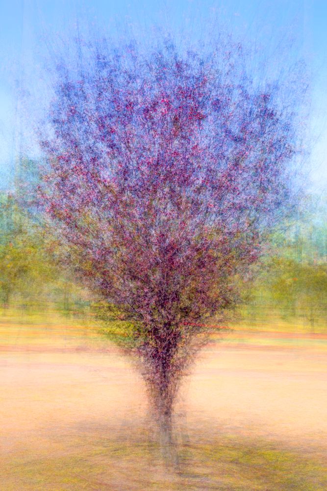 Joseph S Giacalone - My Impressions | LensCulture