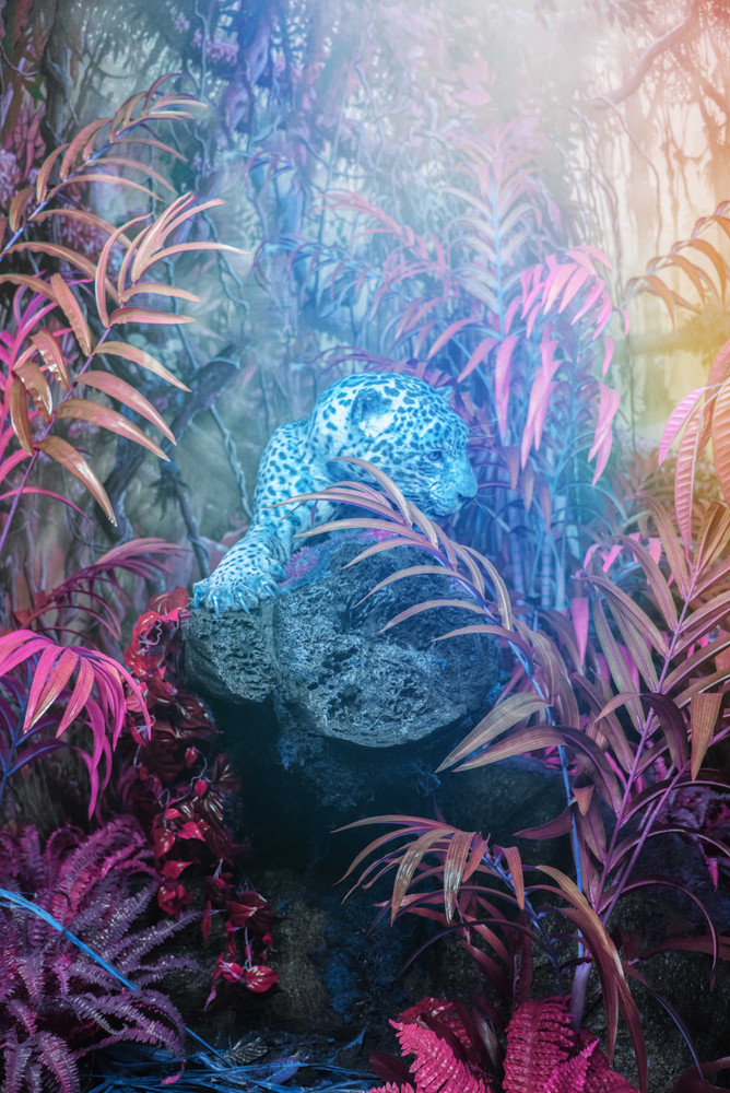 Claudia Fuggetti - Metamorphosis | LensCulture