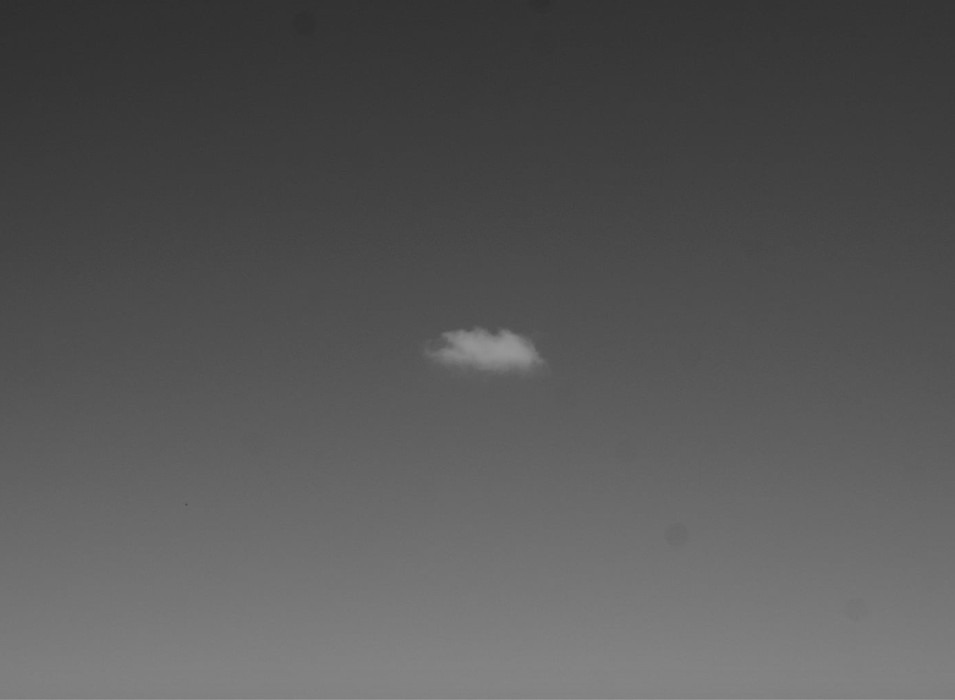 Nick Van Dyk - Almeja antes de la tormenta | LensCulture