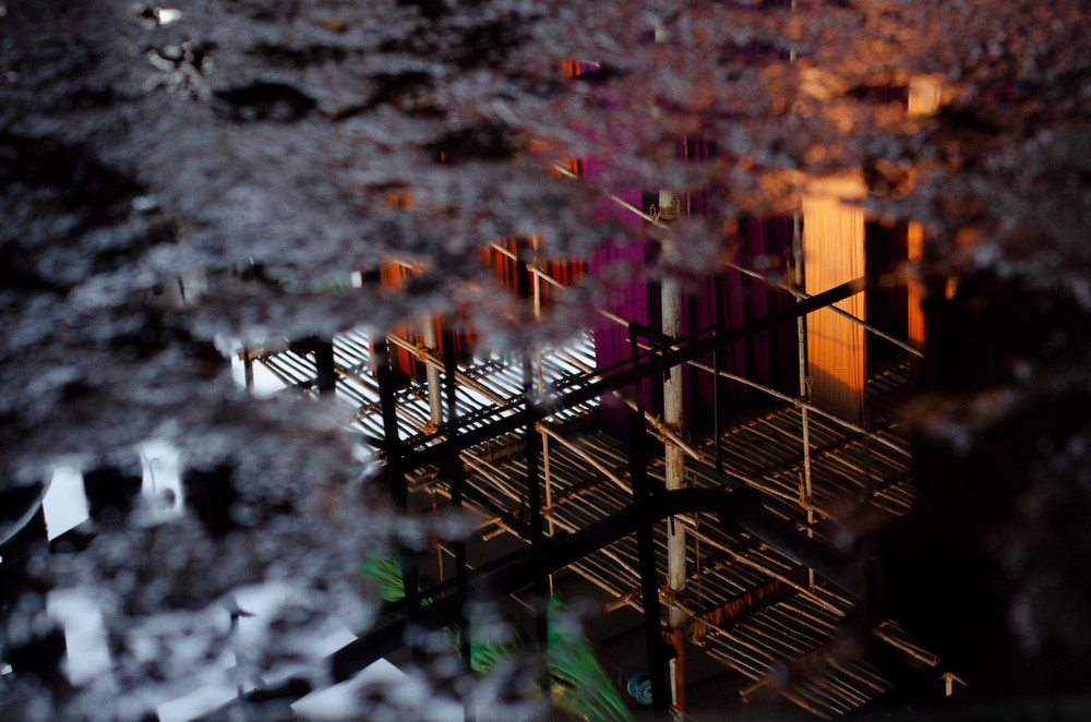 Susana Gonçalves | Art Photography Awards 2022 Entry