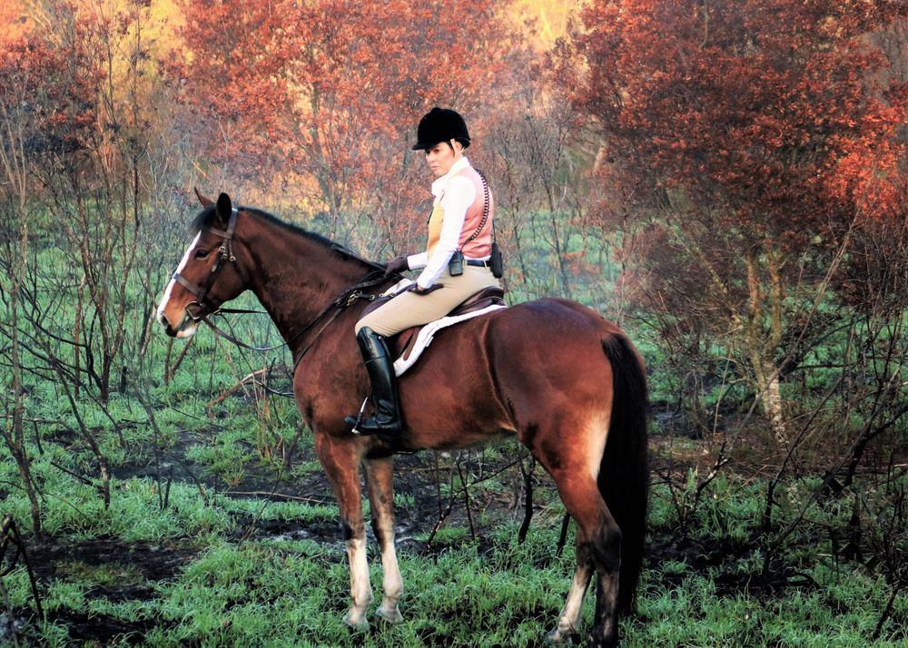 Susan Foreman - Submission | LensCulture