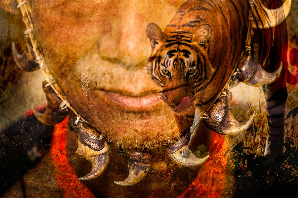 Shahid Hashmi - Threatened Existence | LensCulture