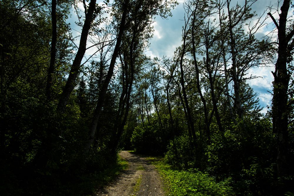 Jordan Bélanger - Submission | LensCulture