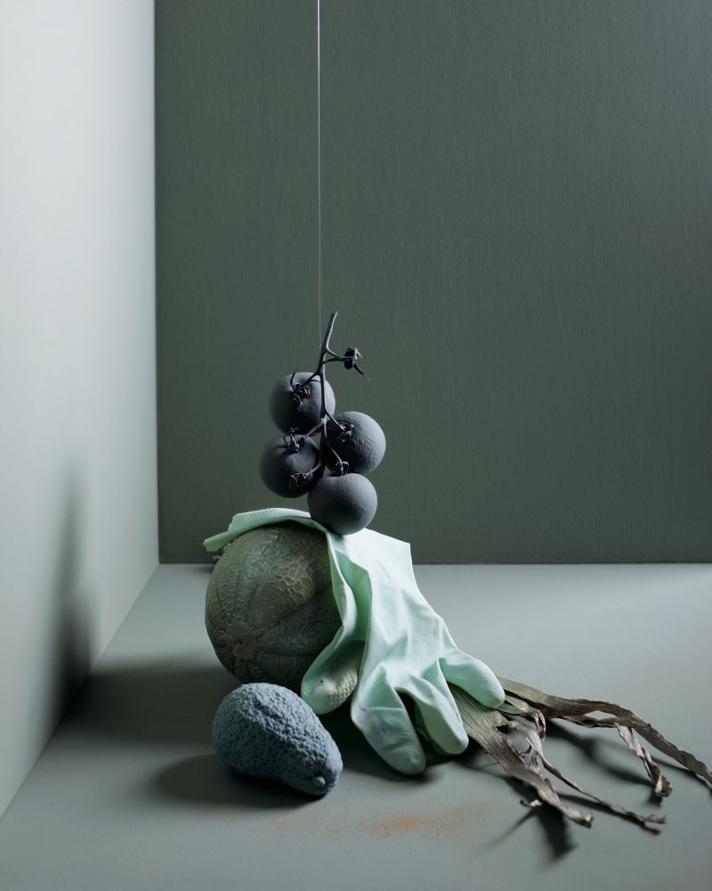 Alexandra Brand - Transitory Still Life | LensCulture