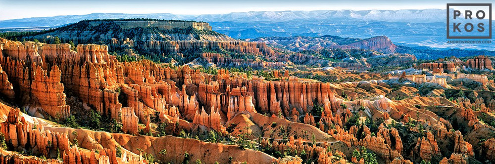 Andrew Prokos - Bryce Canyon Landscapes | LensCulture