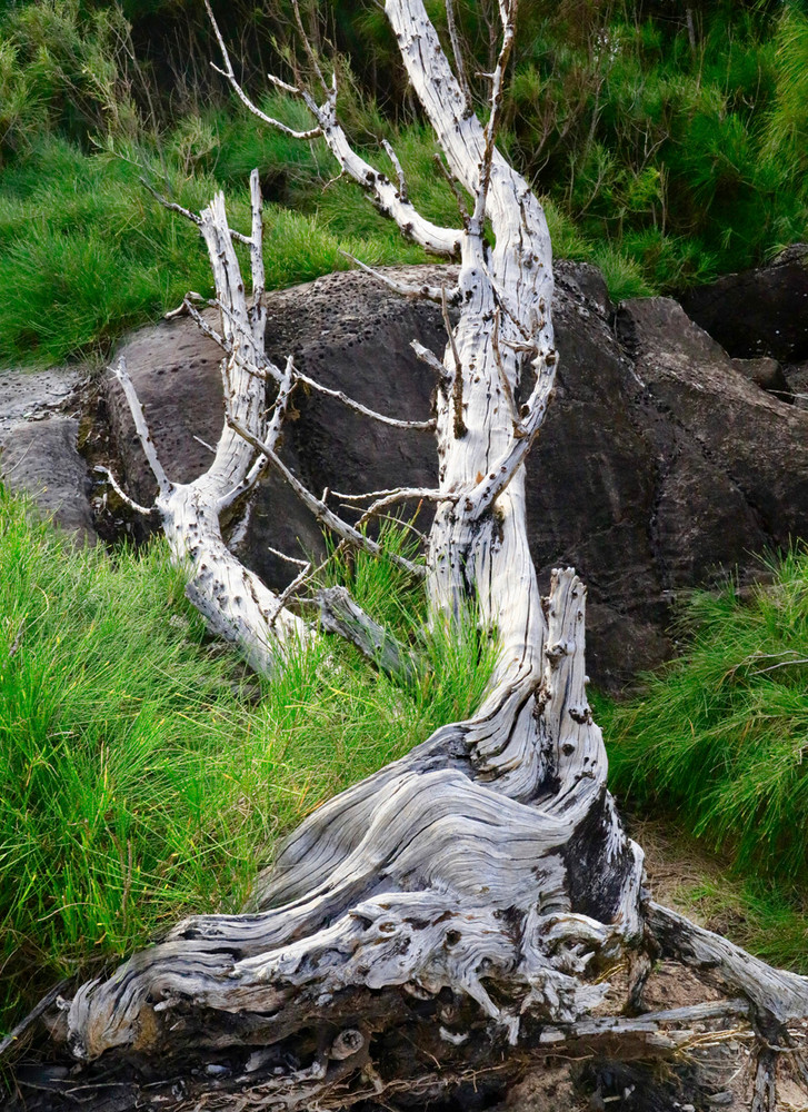 Mike Butterfield - Images of the Intimate Landscape | LensCulture