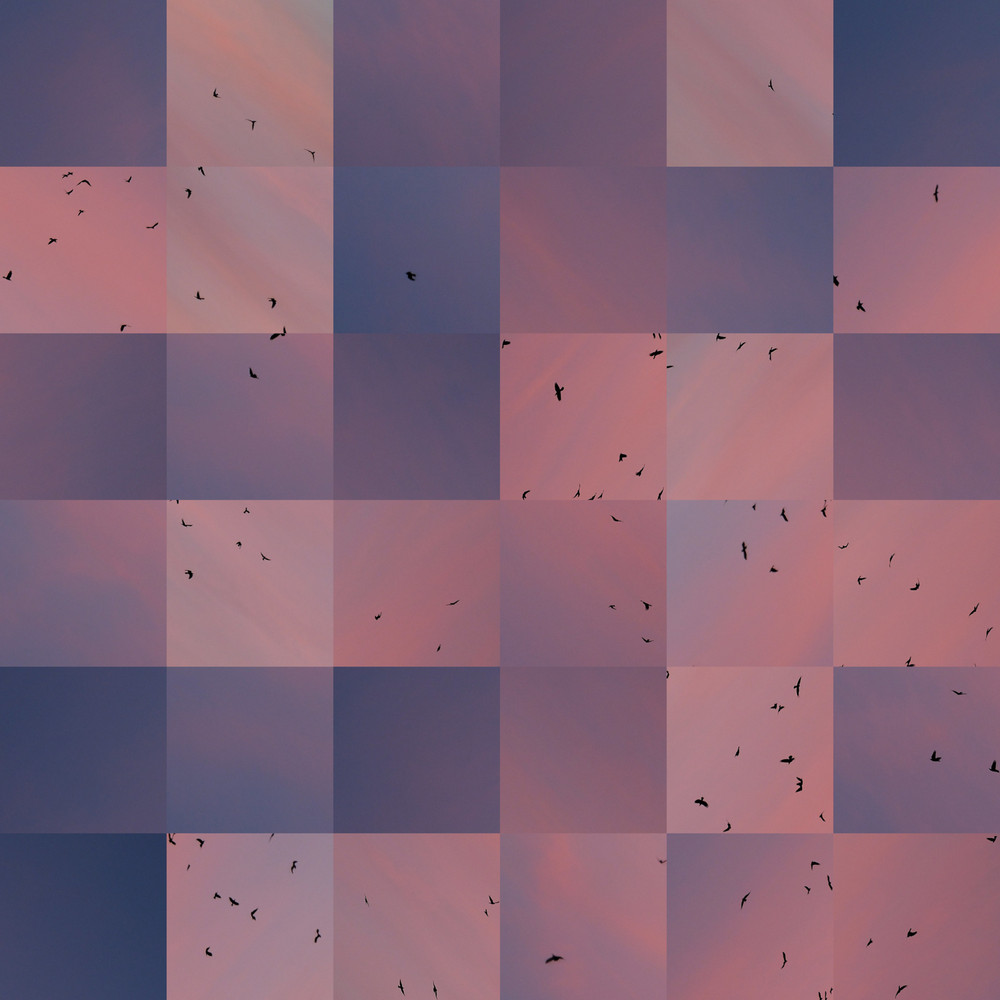 Raphaël da Silva - Le ciel leur appartint | LensCulture