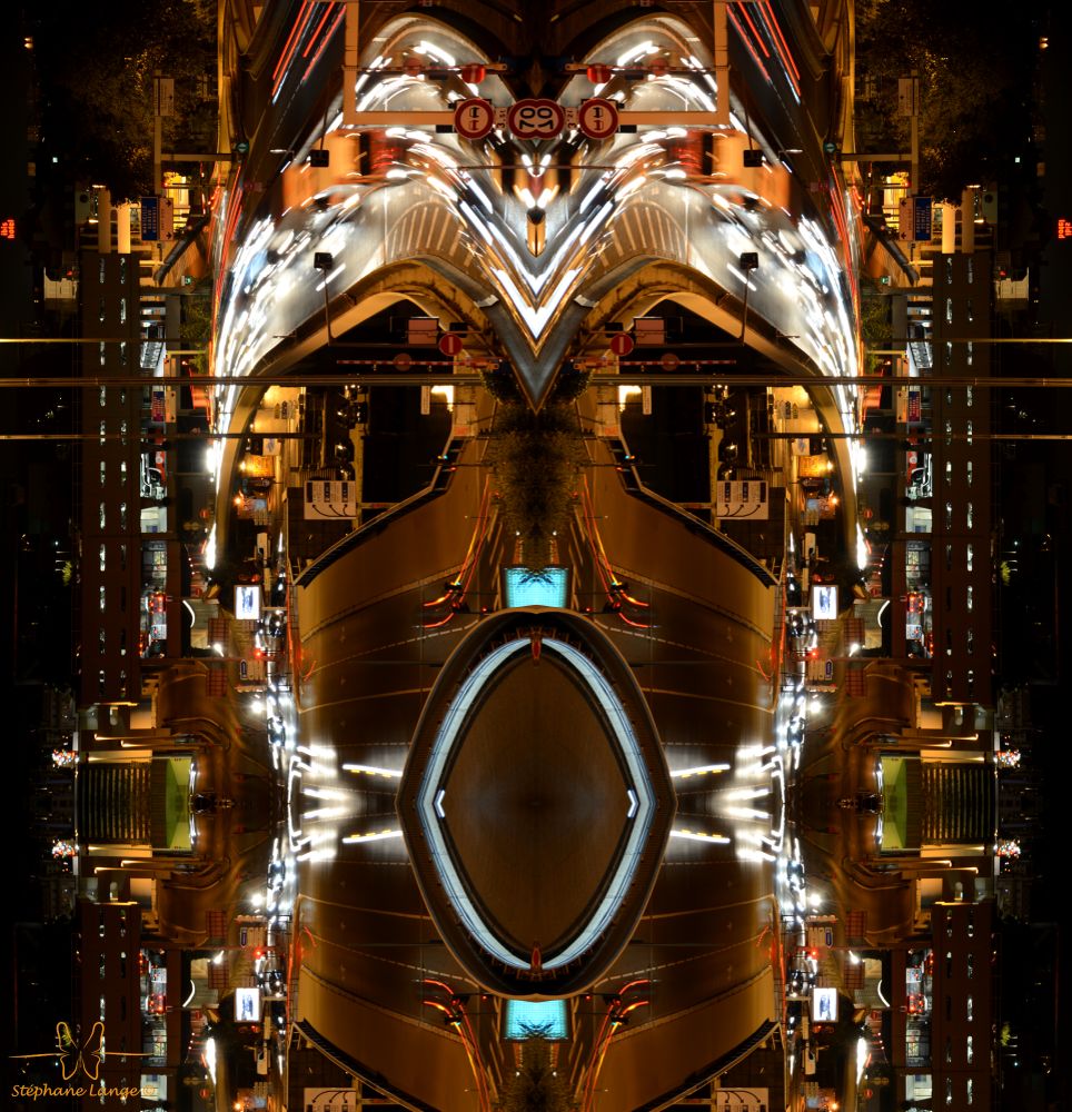 Stéphane Lange - Butterfly Design | LensCulture