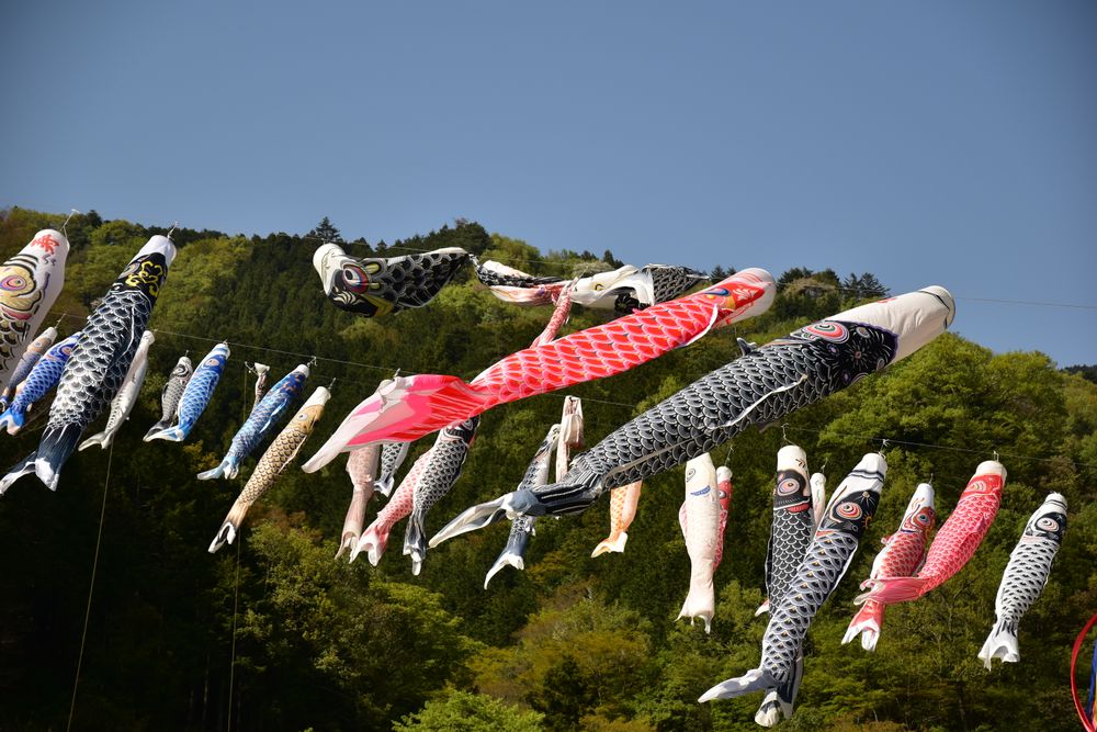 Satoko Ueda - spring in Japan | LensCulture