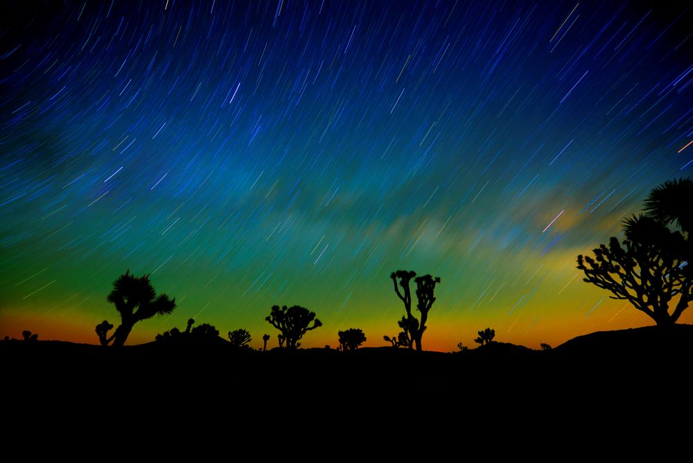 Nader Naderi - Night shots | LensCulture