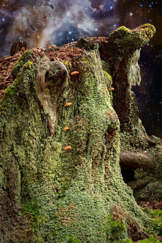 Richard Alan Cohen - Moonlit | LensCulture