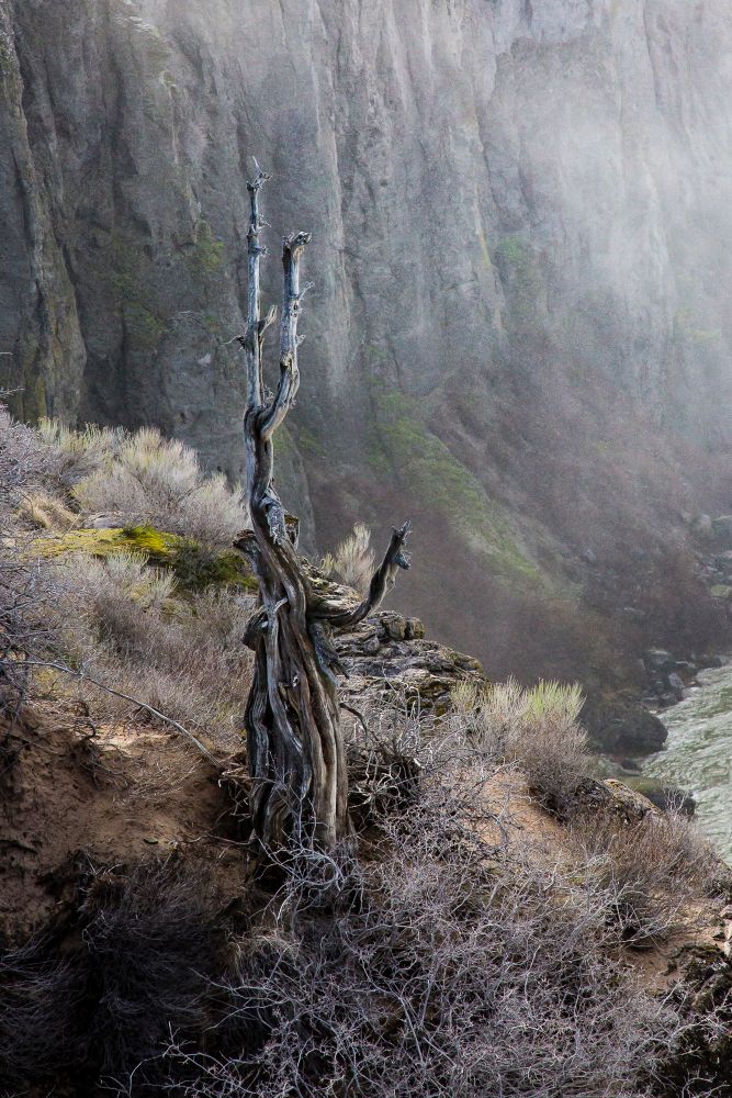 DeAnne Warner - A Collection of Images | LensCulture