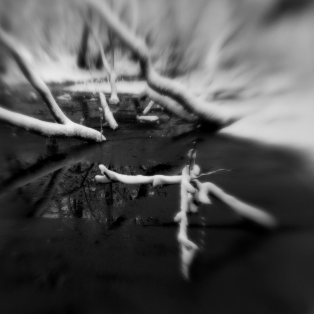 Adam Clutterbuck - Nether Wood | LensCulture