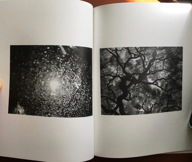 Paul Melhado - Subject Without Object | LensCulture