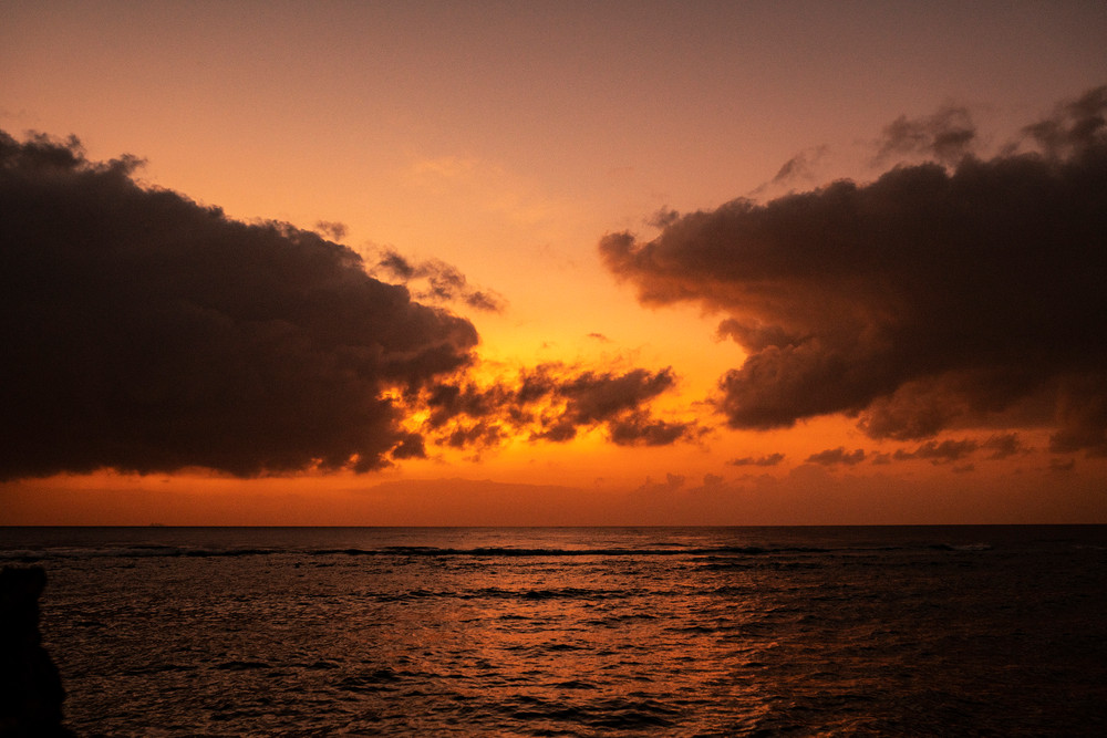 Nekane Ozamiz - Re-wilding the Broken Self | LensCulture