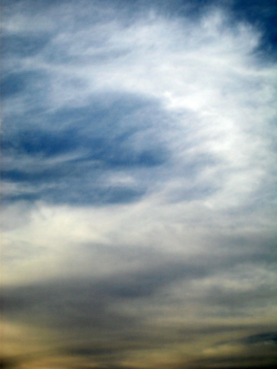 Steven Parisi - Gentile - Miscellany | LensCulture