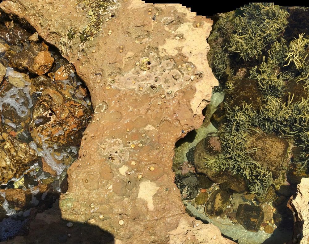 Garry Robert McDougall - Body and Shore | LensCulture